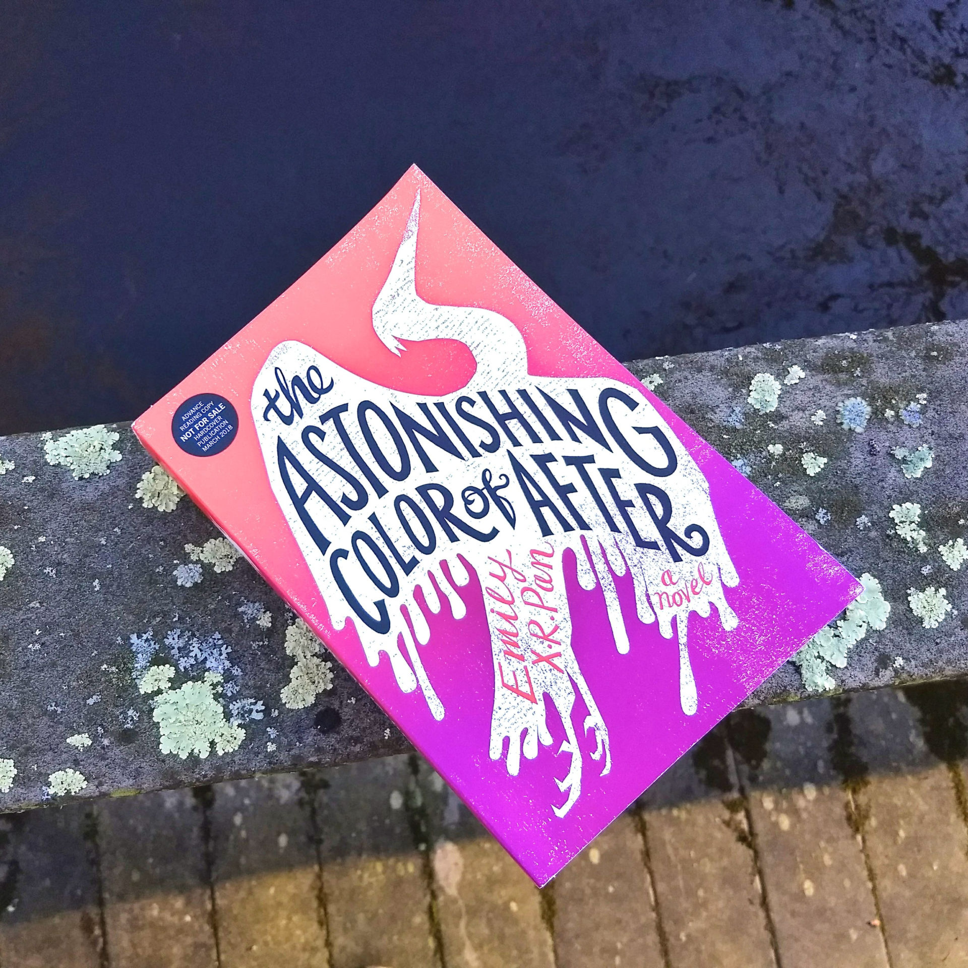 Review: The Astonishing Color of After by Emily X.R. Pan - Utopia State ...